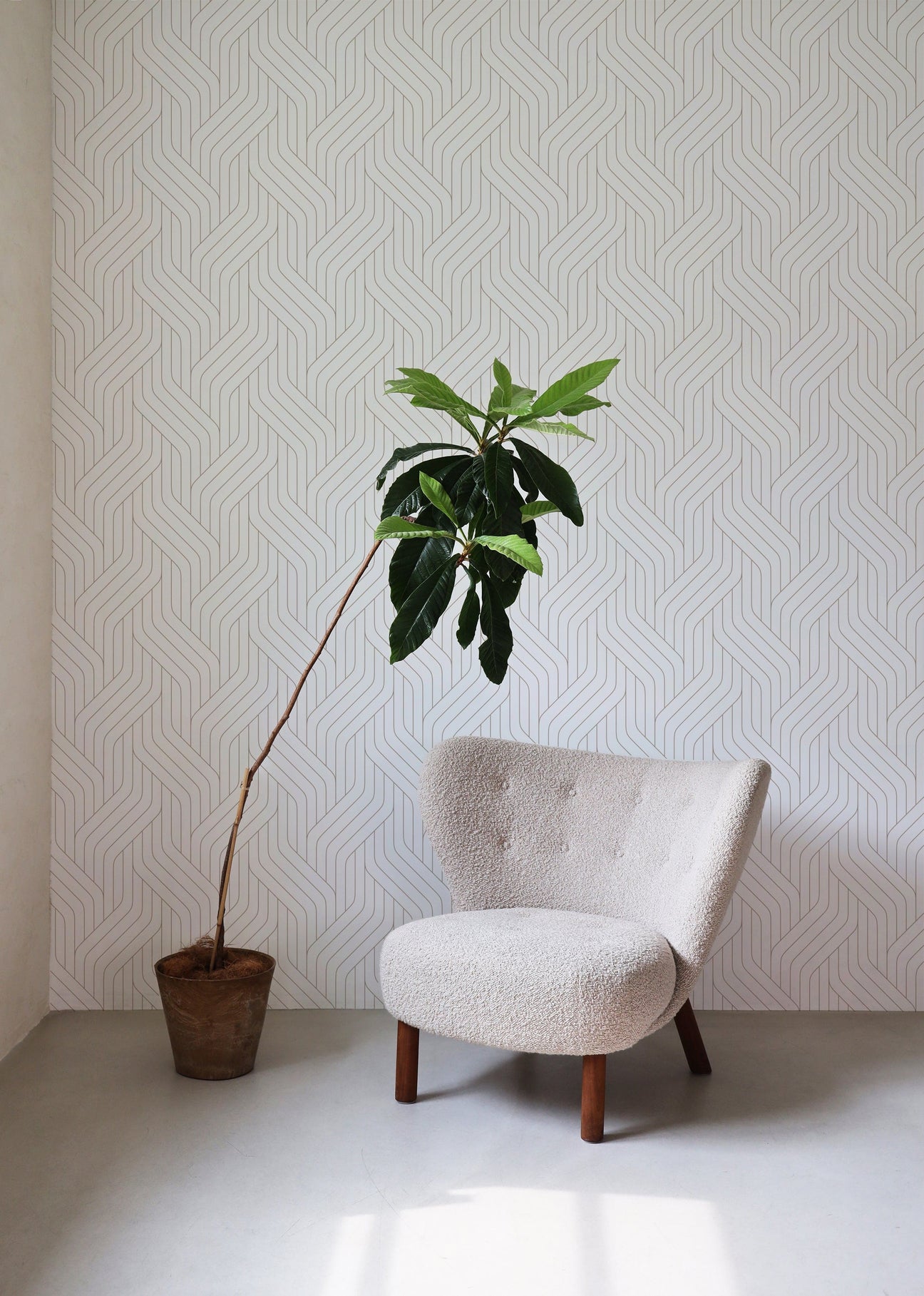 Modern Braids Wallpaper. – Timberlea Interiors